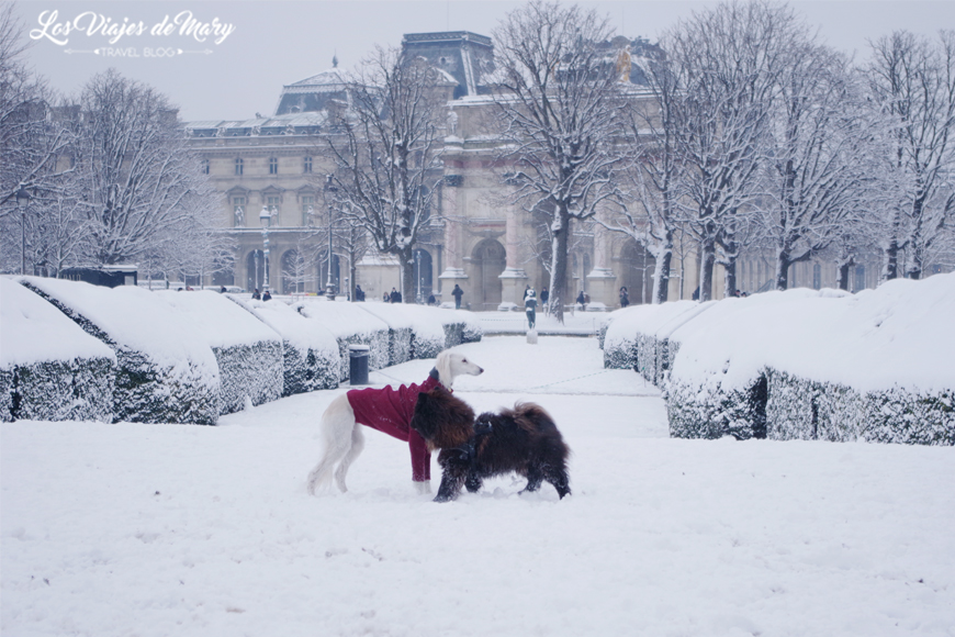En busca de la nieve en París - Los Viajes de Mary - Blog de Viajes