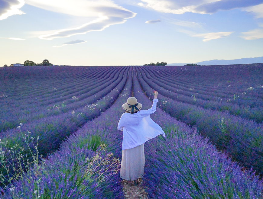Campos de lavanda en la Provenza Francesa - Los Viajes de Mary - Blog ...